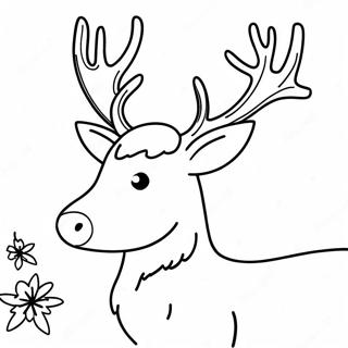 Бесплатные раскраски | Raskraski.cc